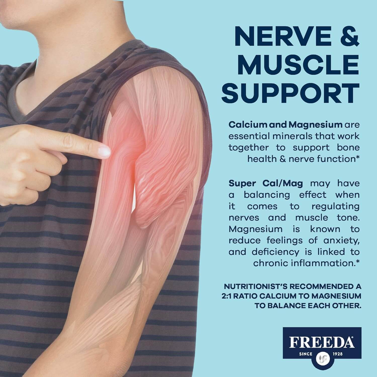Super Cal/Mag – Calcium & Magnesium Bone Support | Freeda – Freeda Health